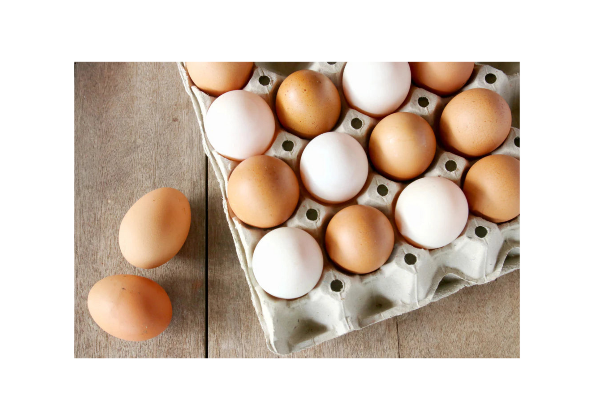 Bread Brothers Bakery