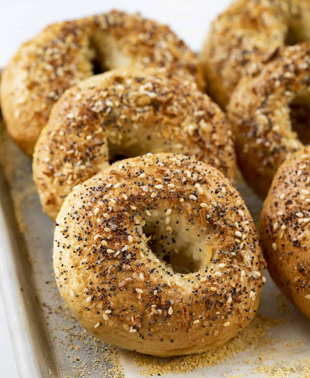 Everything Bagels – Bread Brothers Bakery