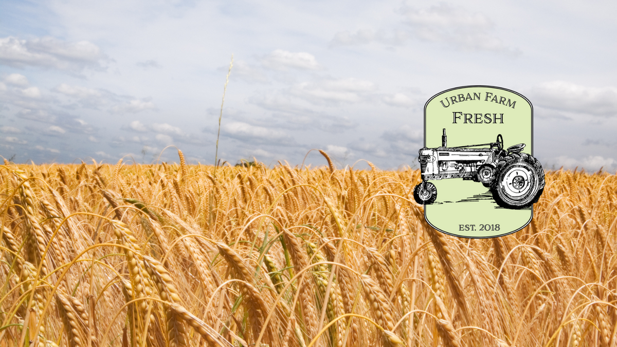 Our Brands – Bread Brothers Bakery