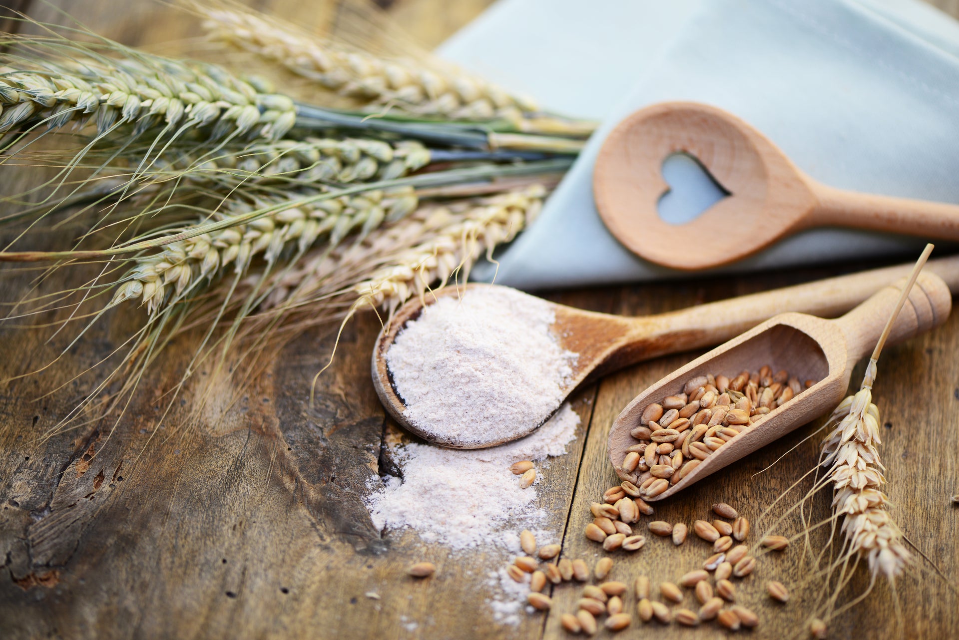 Bread Brothers Bakery