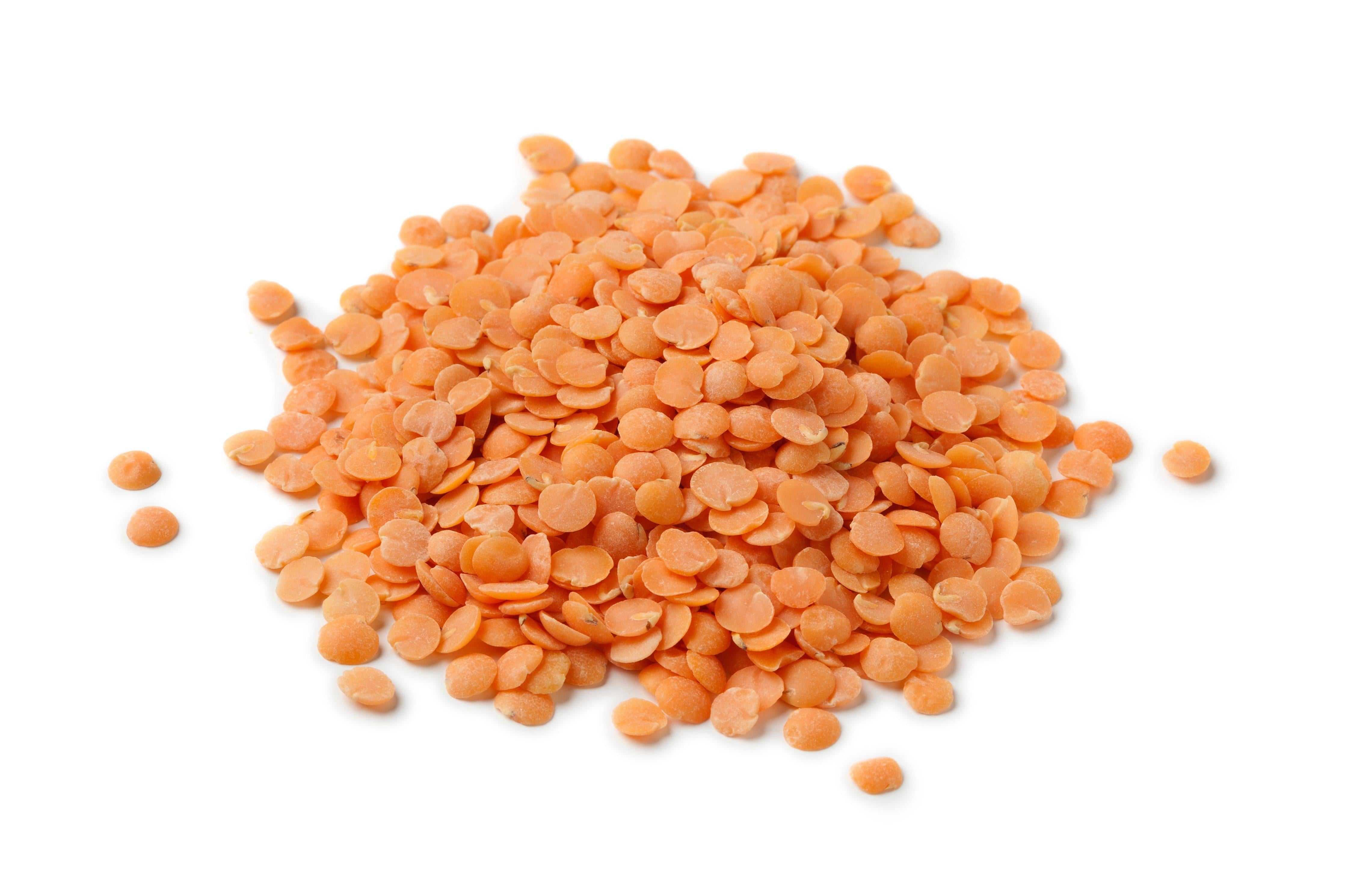 Red Lentils – Bread Brothers Bakery